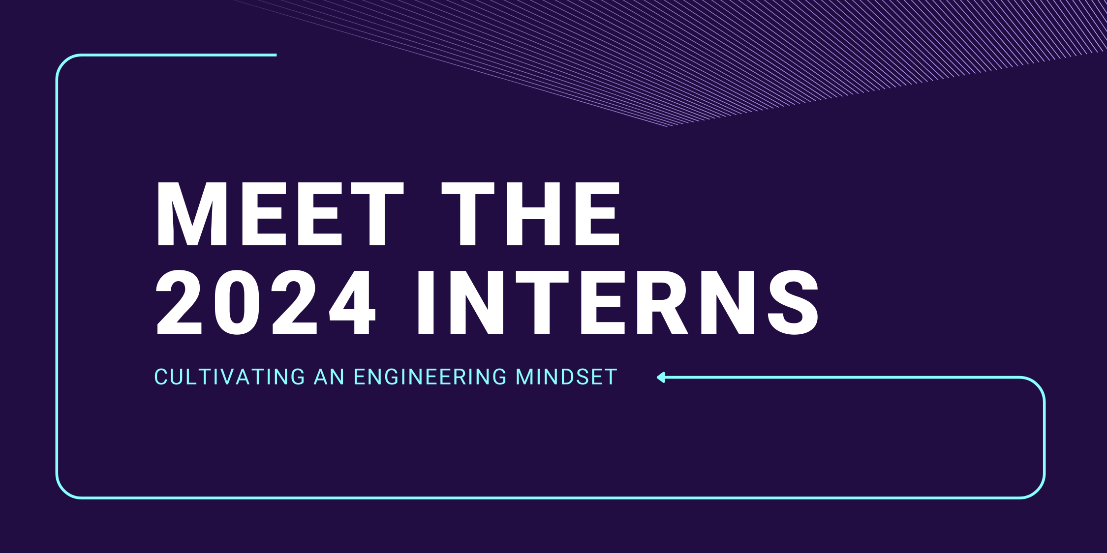 Meet the 2024 Interns!